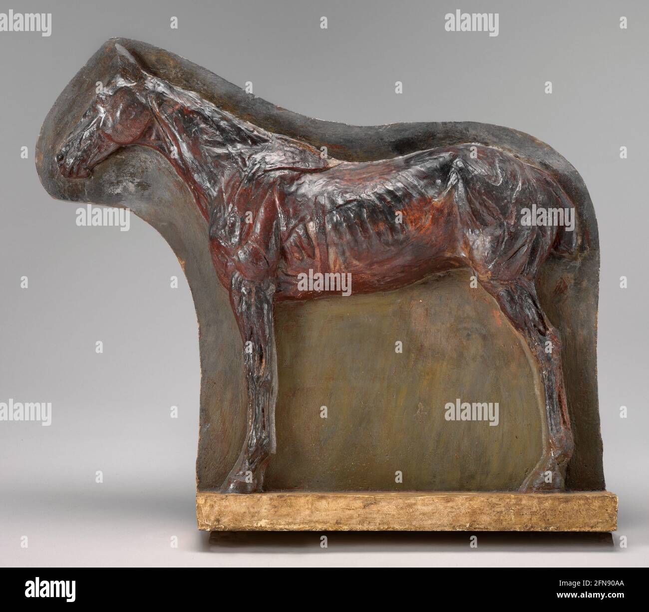 Ecorché: Relief of a Horse (Josephine), c. 1882 Stock Photo - Alamy