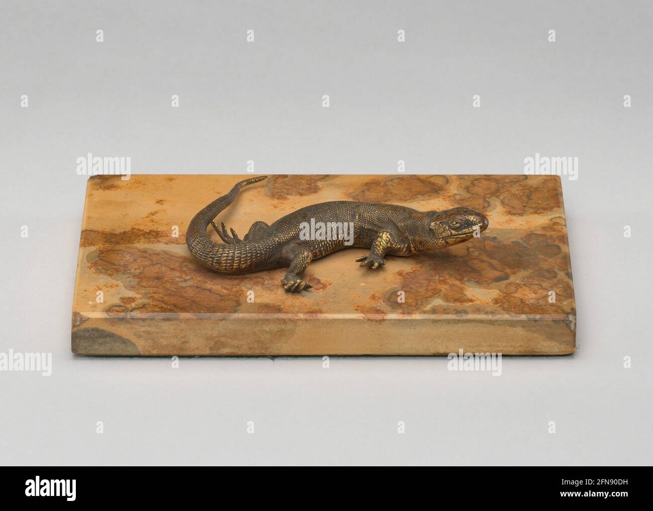 Life Cast of a Lizard, probably 19th century Stock Photo - Alamy
