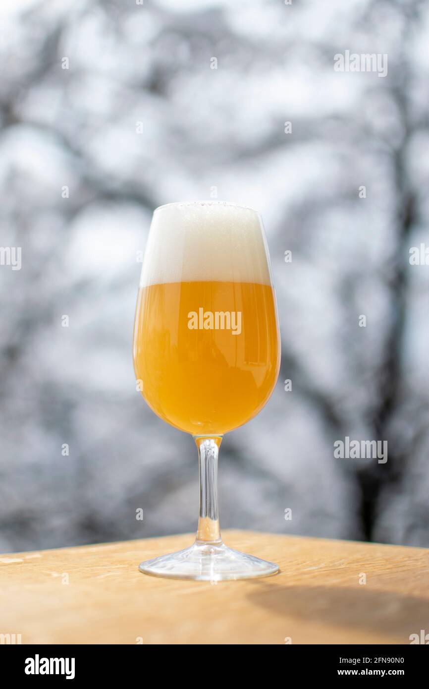 Home brewed beer Stock Photo - Alamy