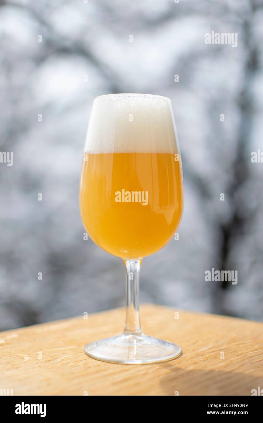 Home brewed beer Stock Photo - Alamy