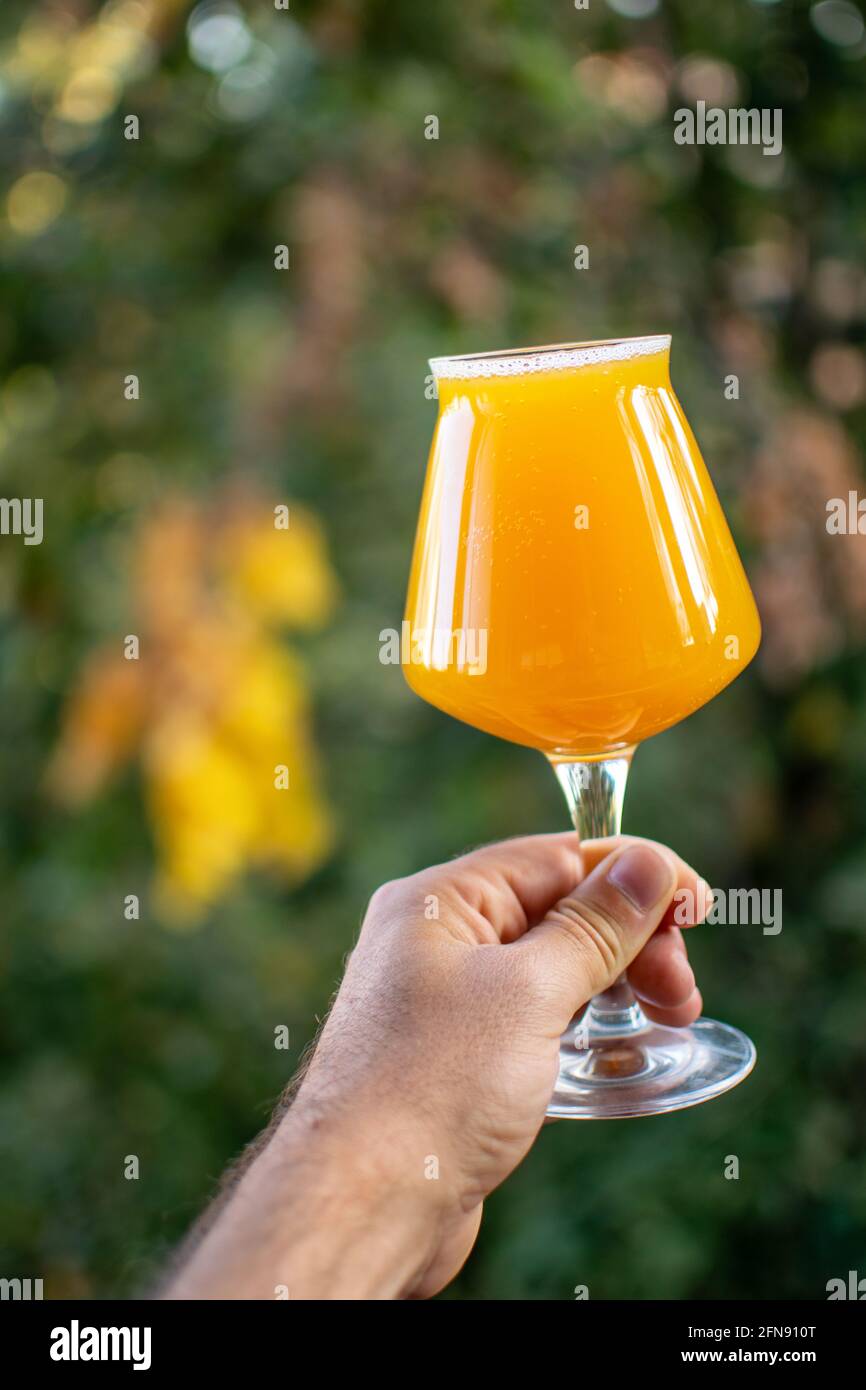 Home brewed beer Stock Photo - Alamy