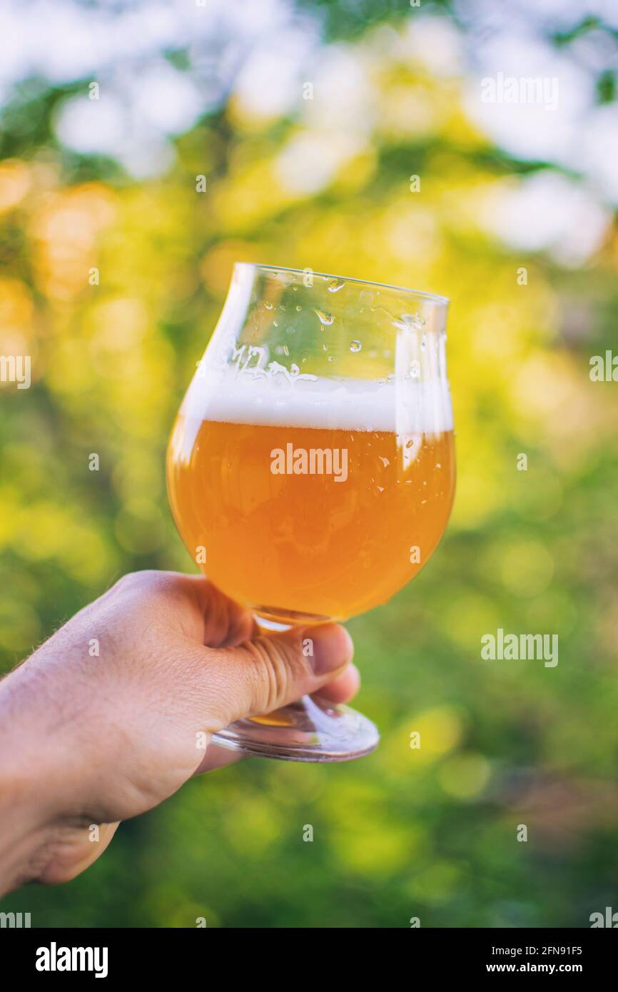 Citra beer hi-res stock photography and images - Alamy