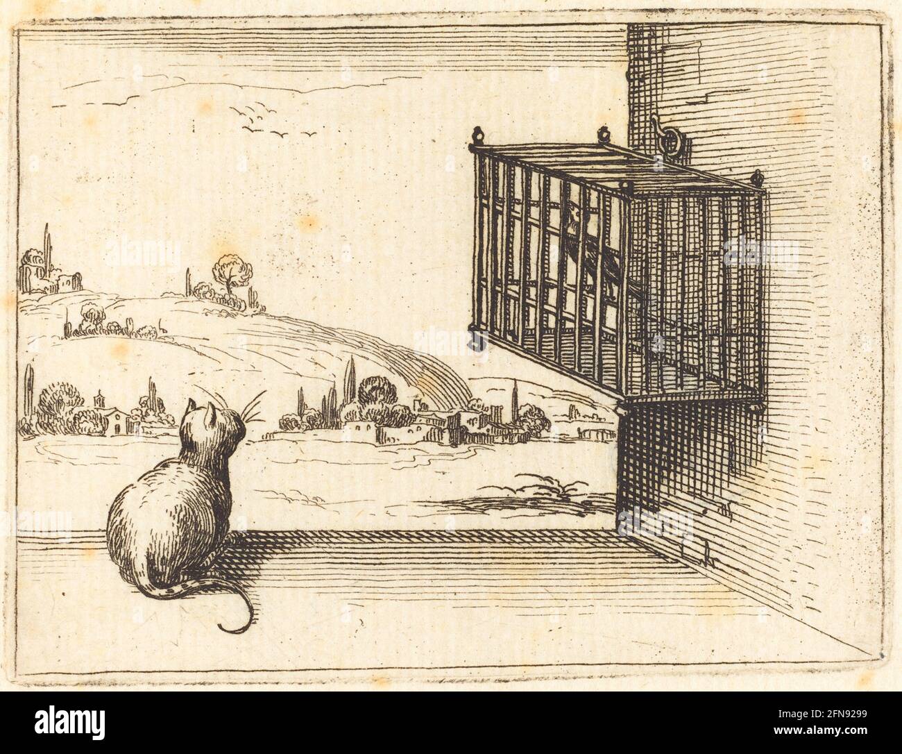 Cat watching caged bird hi-res stock photography and images - Alamy