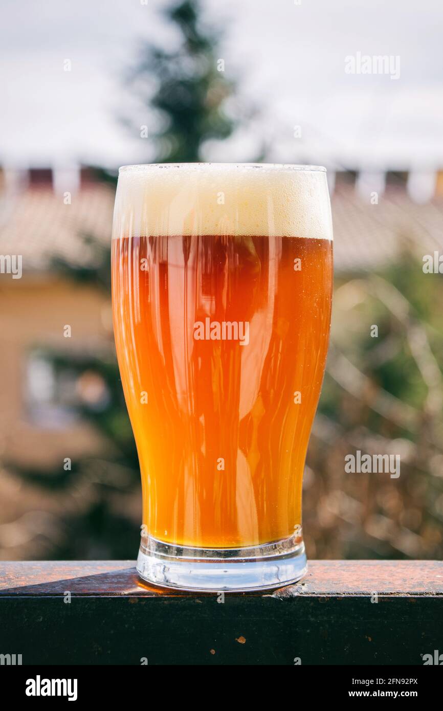 Home brewed beer Stock Photo - Alamy