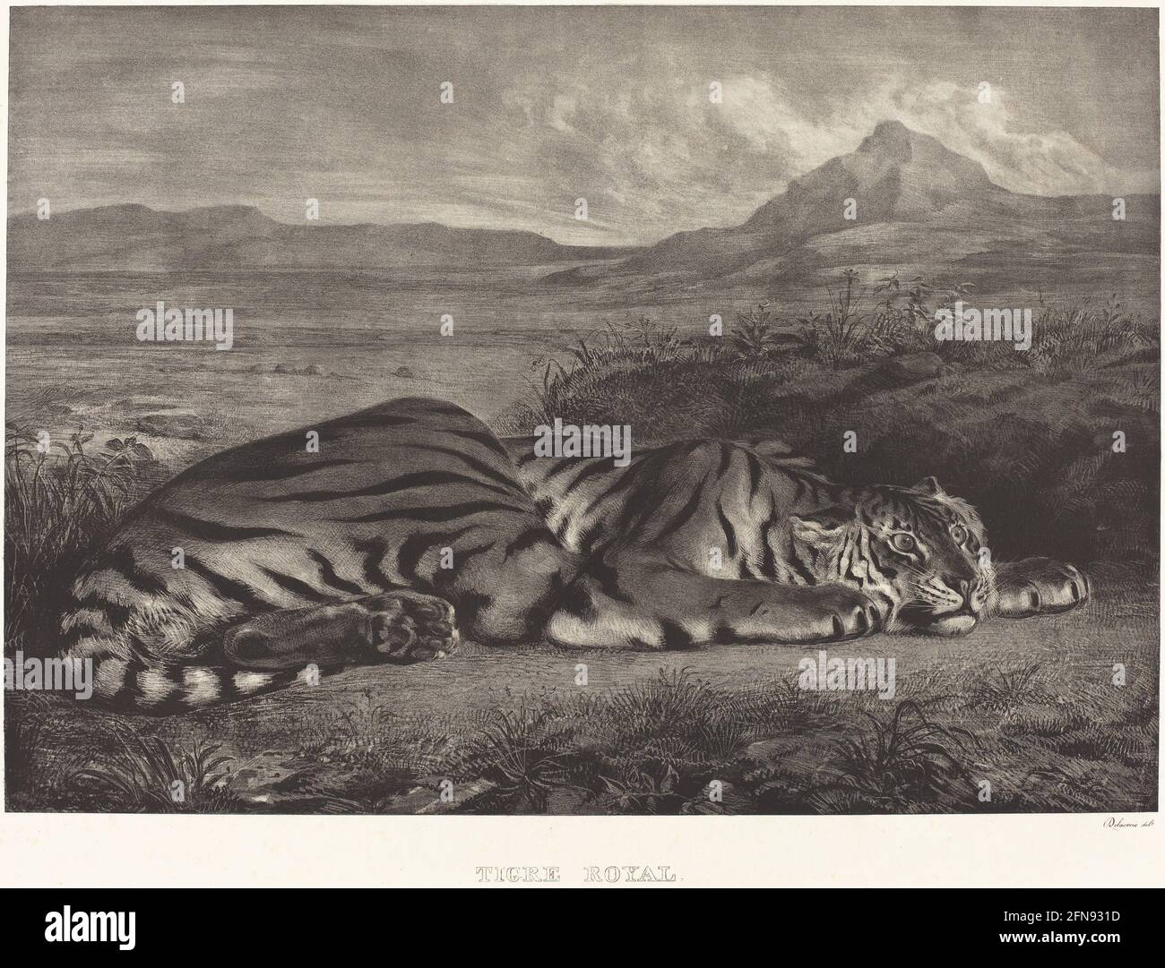 Tigre mountains hi-res stock photography and images - Alamy