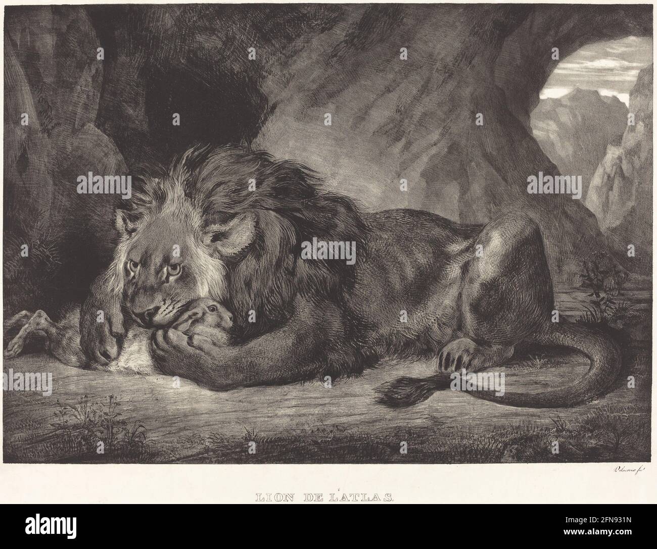 Lion of the Atlas Mountains (Lion de l'Atlas), 1829 Stock Photo - Alamy