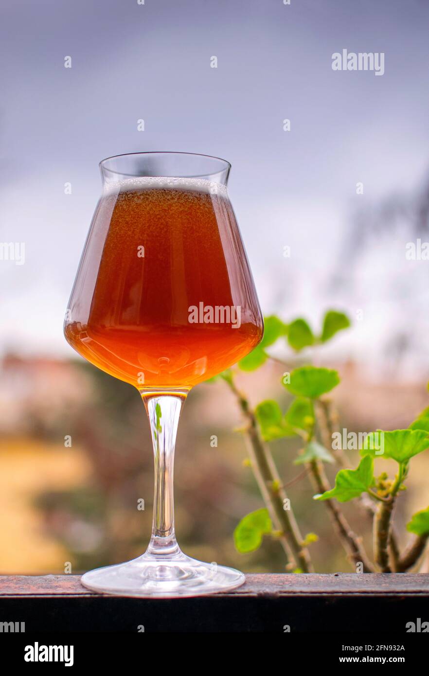 Home brewed beer Stock Photo - Alamy