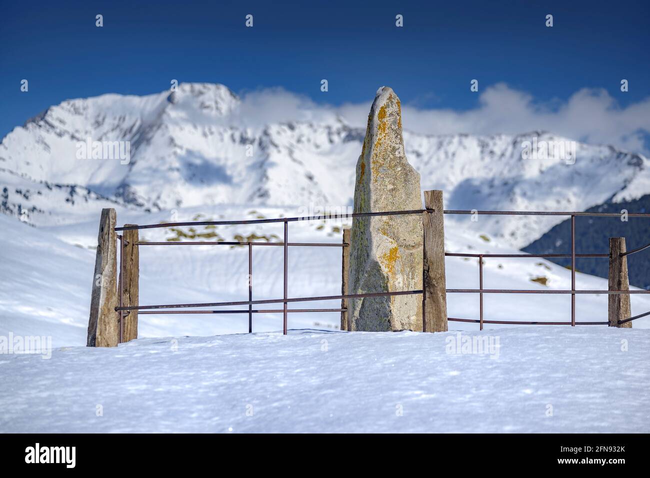 Plan de invierno hi-res stock photography and images - Alamy