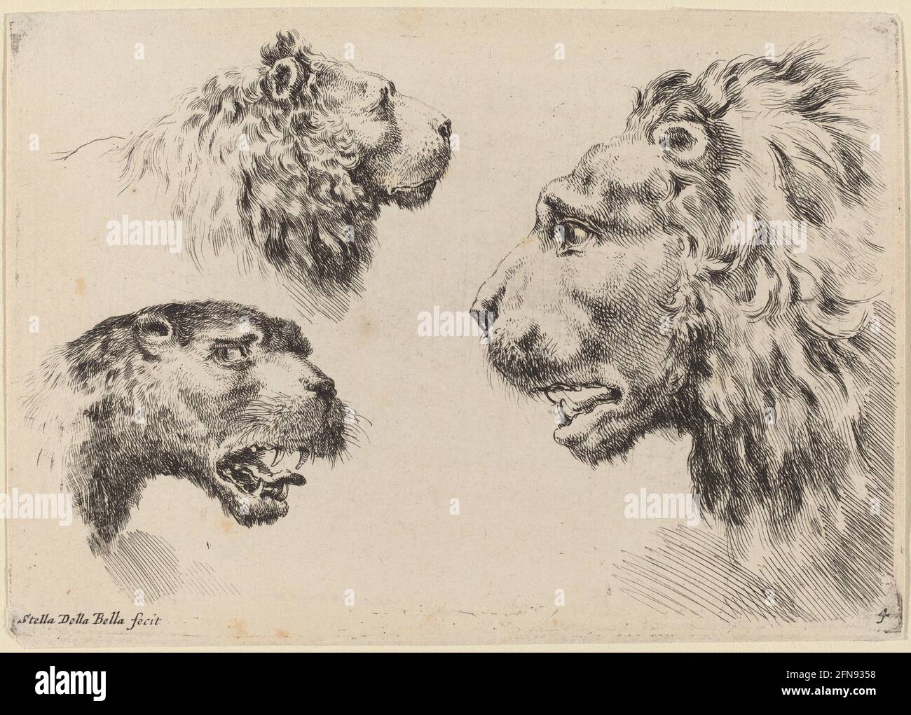 Three Lion Heads, probably 1649 Stock Photo - Alamy