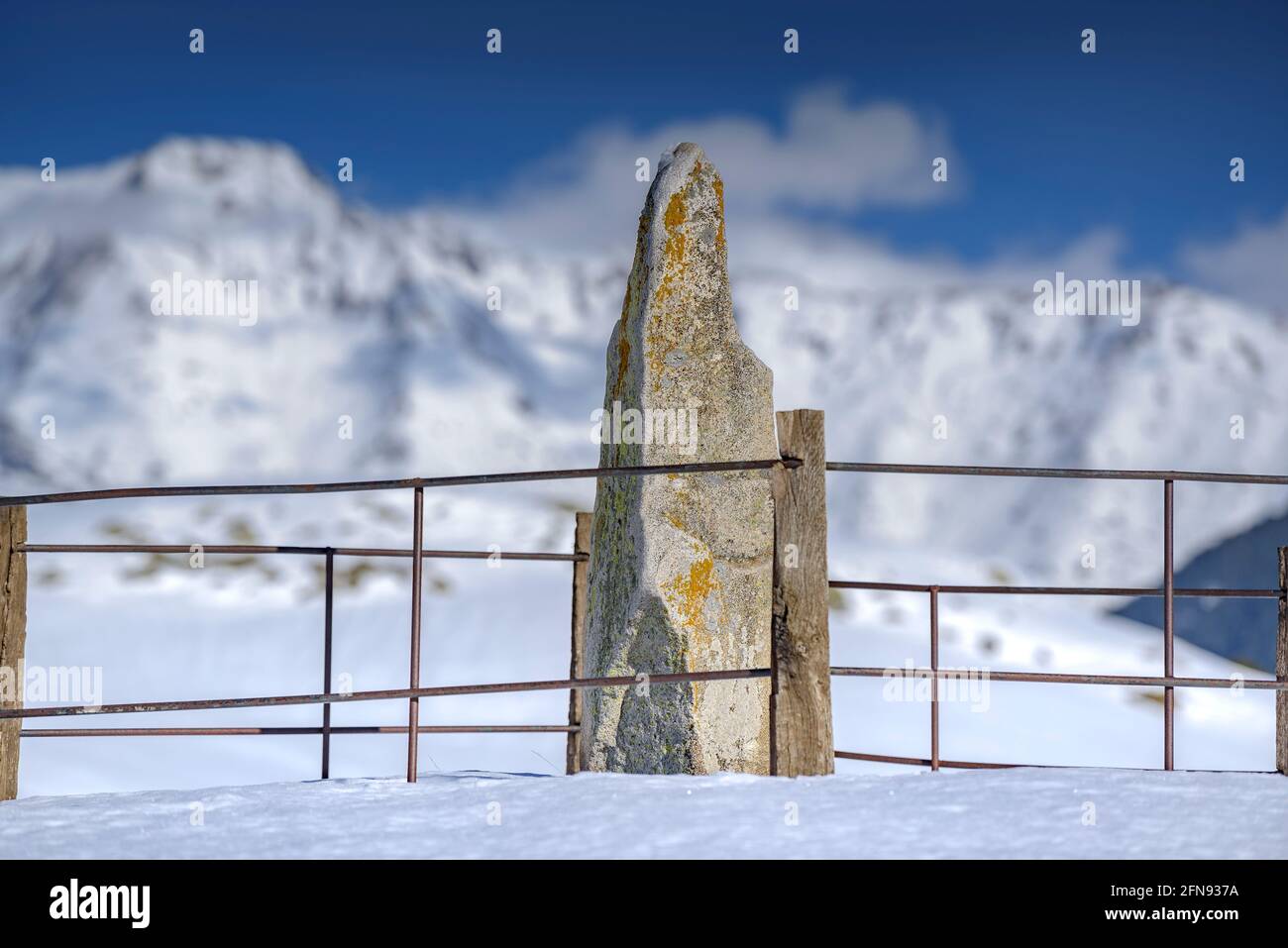 Buen plan hi-res stock photography and images - Alamy