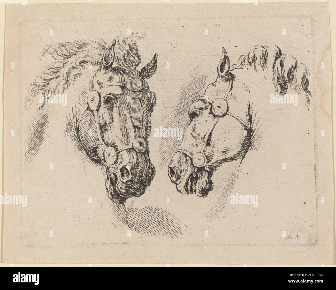 Two horse heads hi-res stock photography and images - Alamy