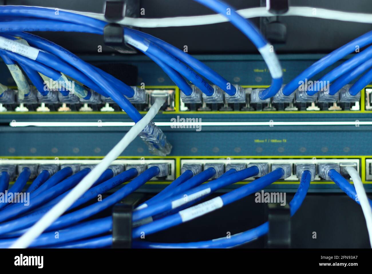 The network cables to connect Lan port, concept Communication ...