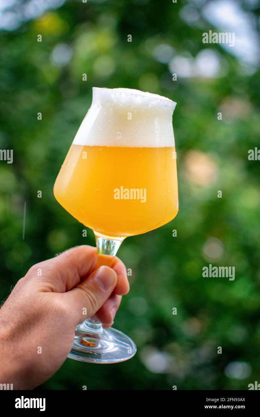 Home brewed beer Stock Photo - Alamy