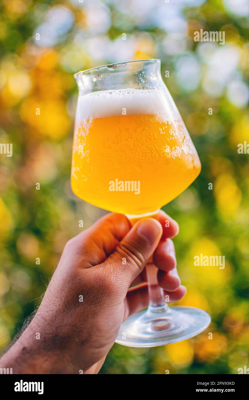 Home brewed beer Stock Photo - Alamy