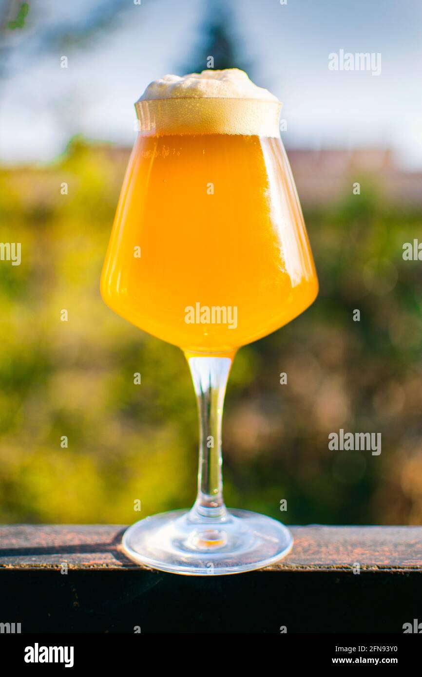 Home brewed beer Stock Photo - Alamy