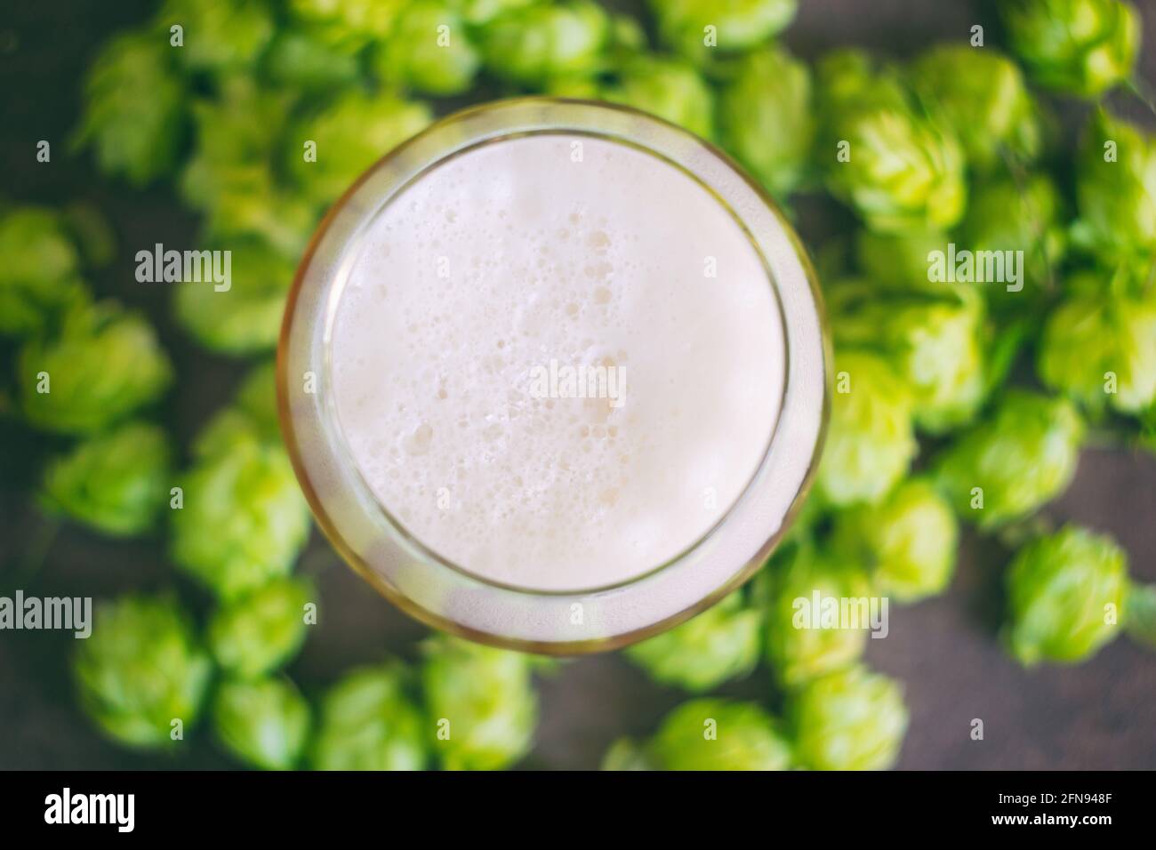 Home brewed beer Stock Photo - Alamy