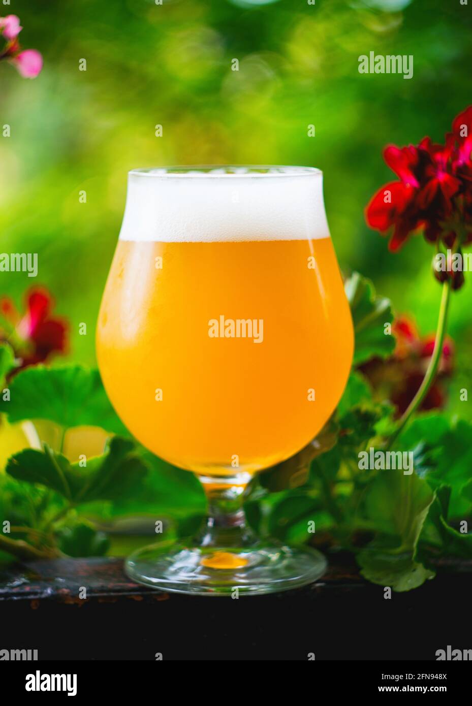 Home brewed beer Stock Photo - Alamy