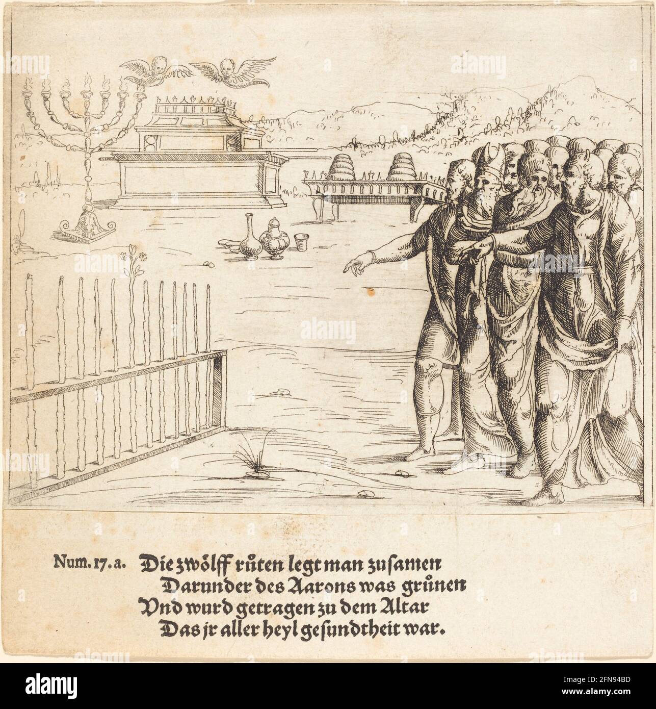 Aarons rod hi-res stock photography and images - Alamy