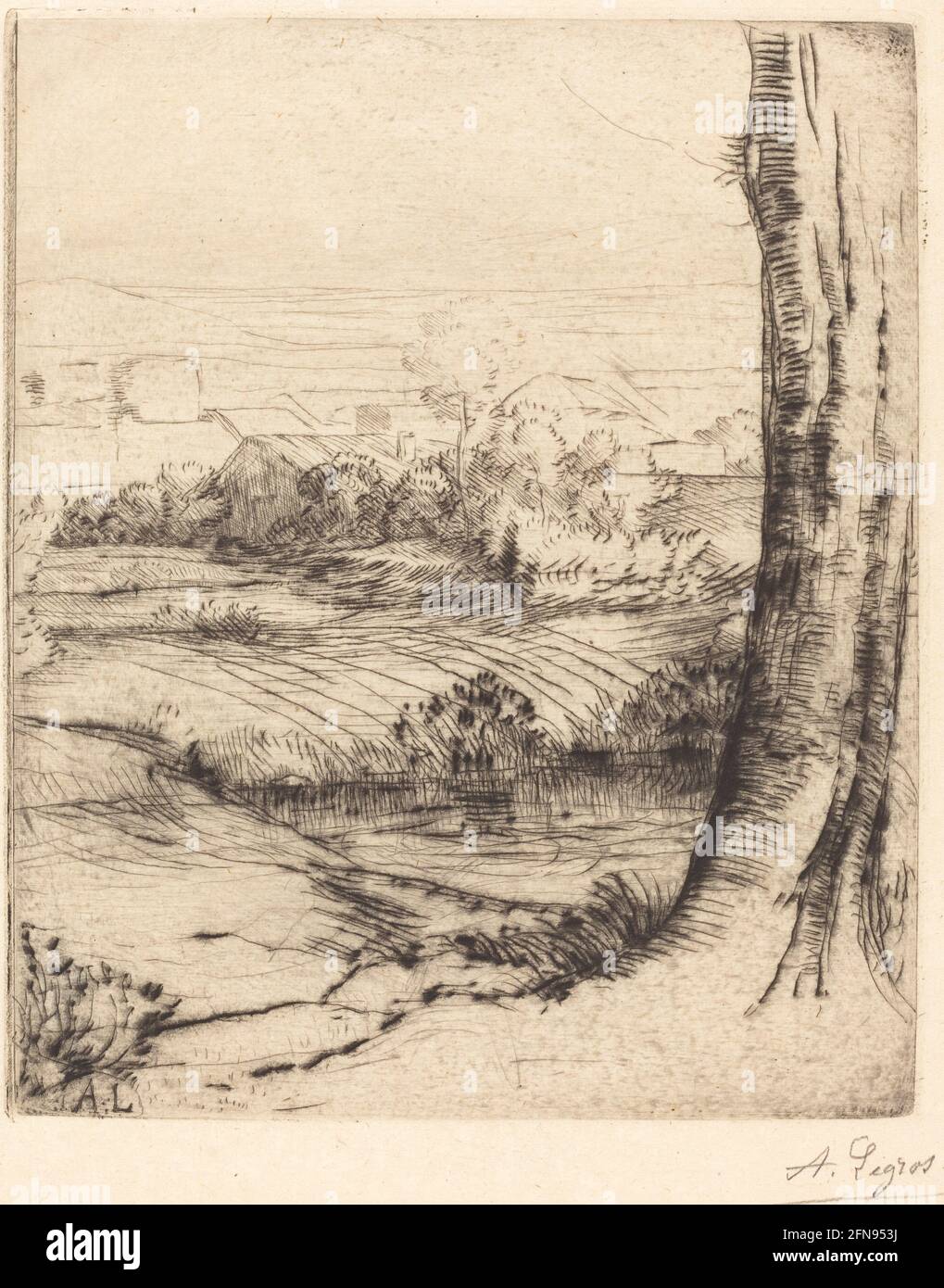 View of Reeds (Coin de roseau Stock Photo - Alamy