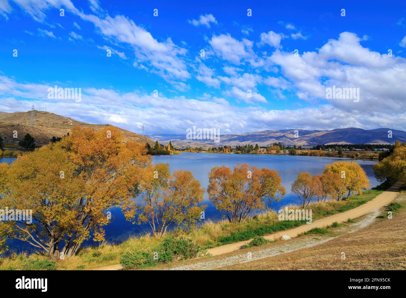 Autumn at Cromwell, a town in the South Island of New Zealand. A row of ...