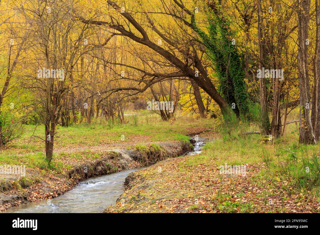 Rural autumn foliage stream hi-res stock photography and images - Alamy