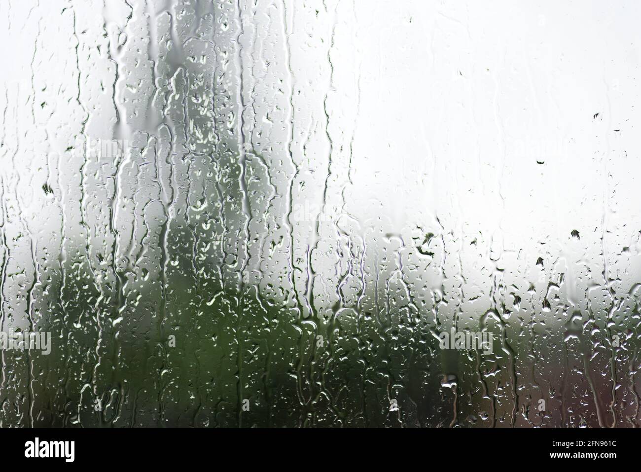 Rain drops on window with green tree in background Stock Photo - Alamy