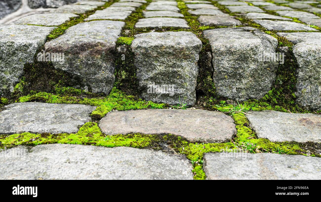 Sidewalk covered paving stones hi-res stock photography and images - Alamy