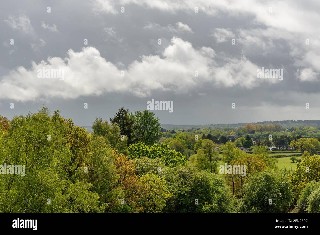 Ibsley new forest hi-res stock photography and images - Alamy