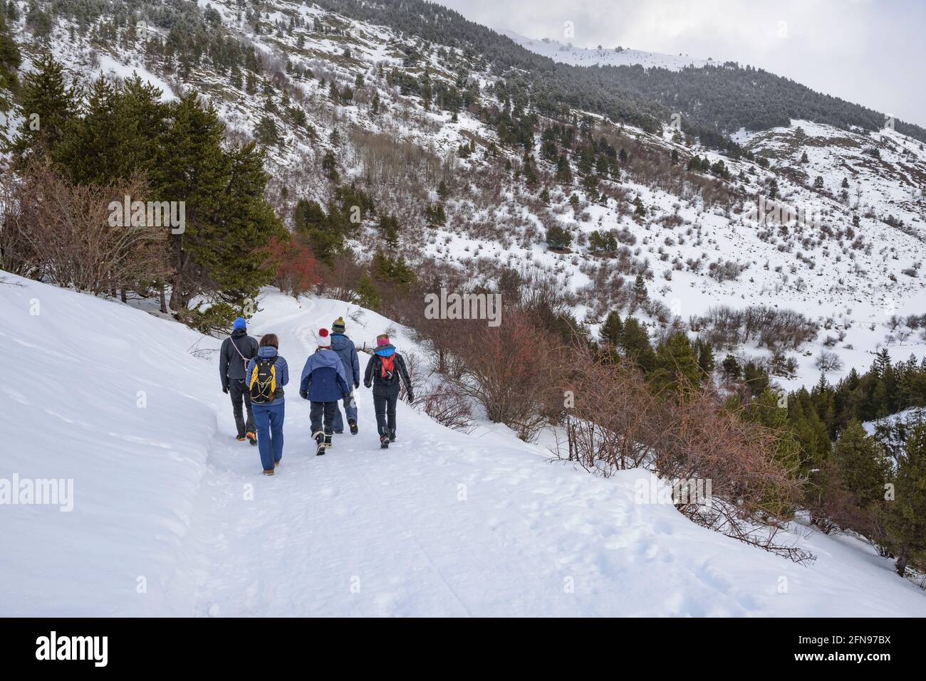 Route between Montgarri and Pla de Beret in winter with snow (Aran ...