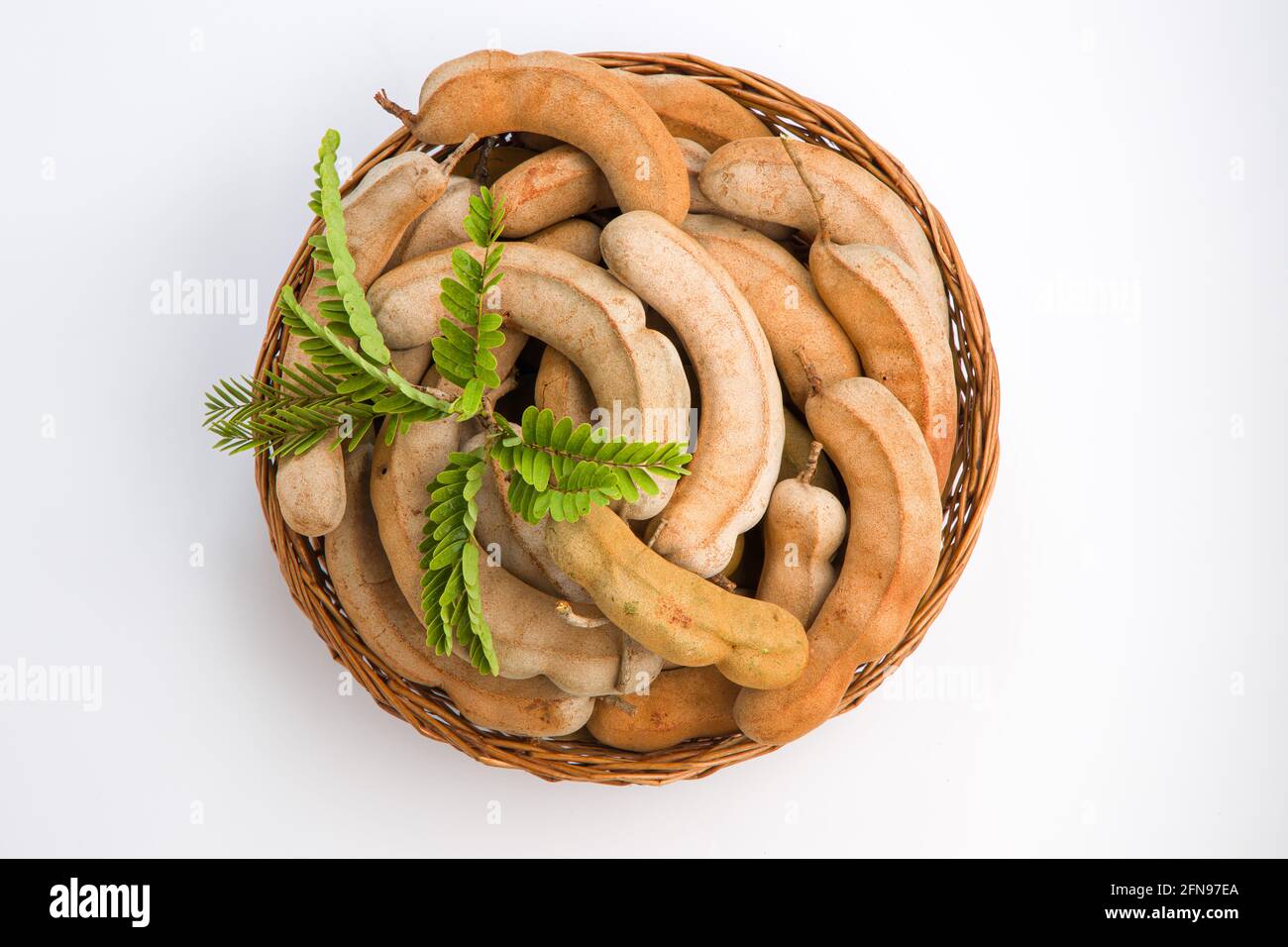 Tamarind bean like pods filled with seeds surrounded by a fibrous pulp ...