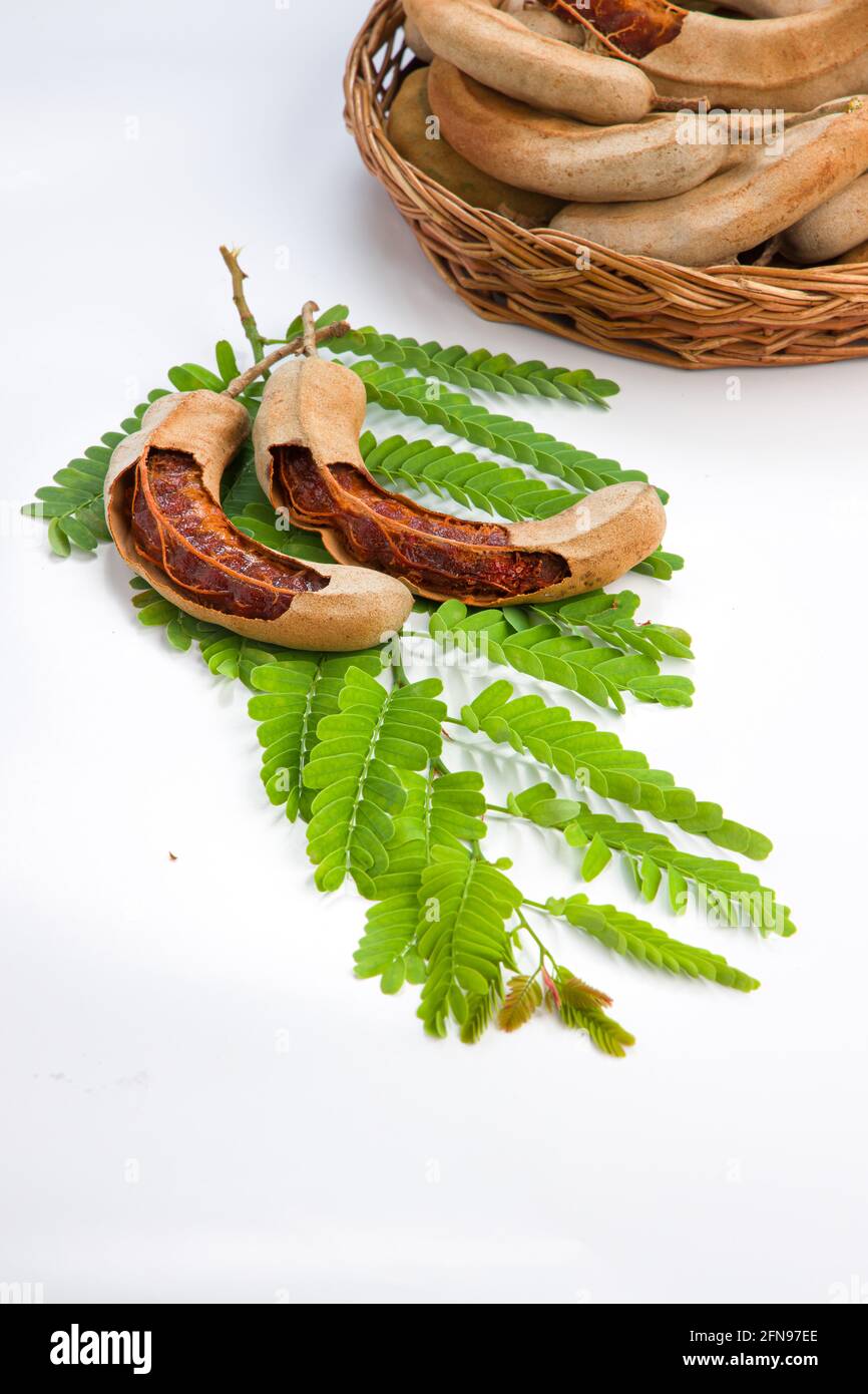 Tamarind bean like pods filled with seeds surrounded by a fibrous pulp ...
