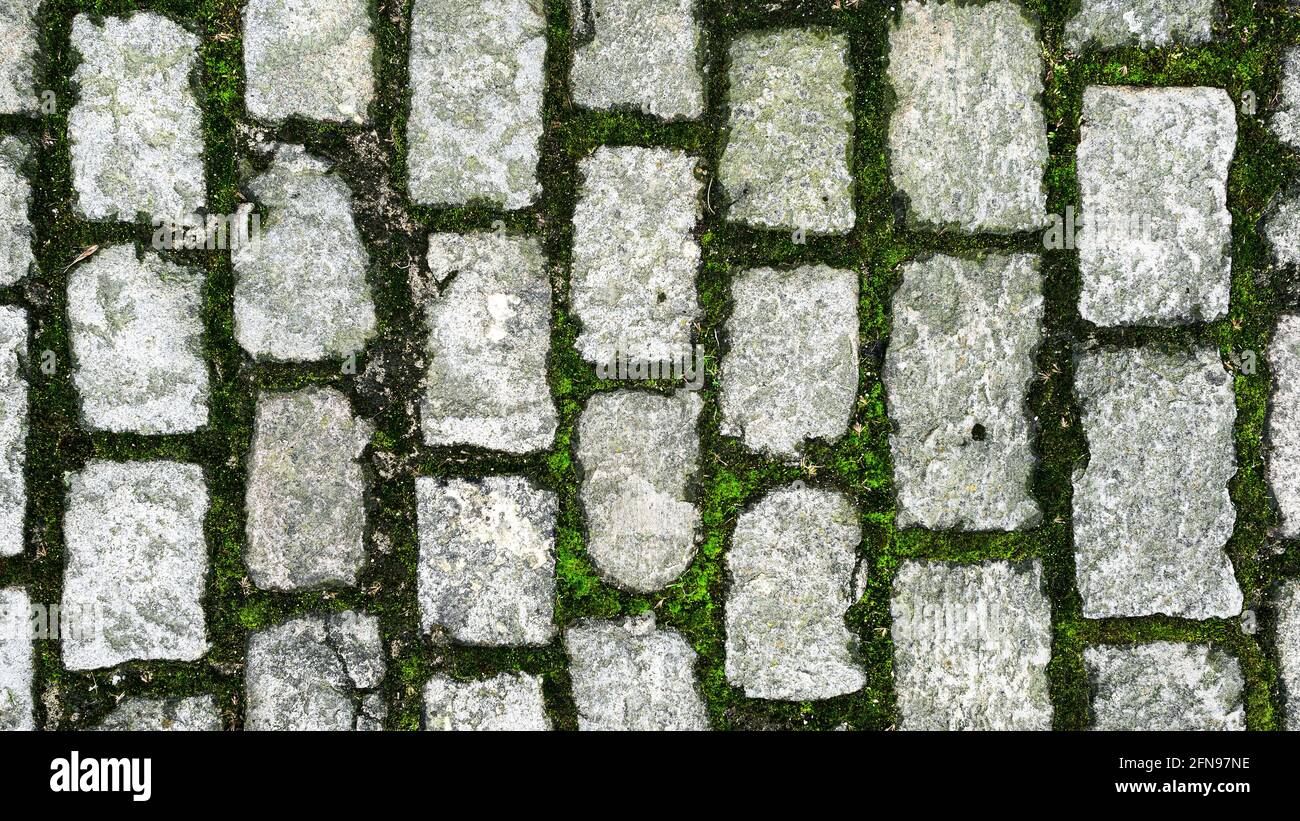 Pedestrian Road Sidewalk Texture High Resolution Stock Photography and ...