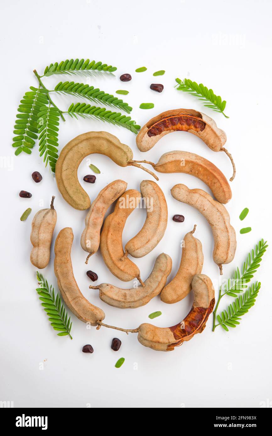Tamarind bean like pods filled with seeds surrounded by a fibrous pulp ...