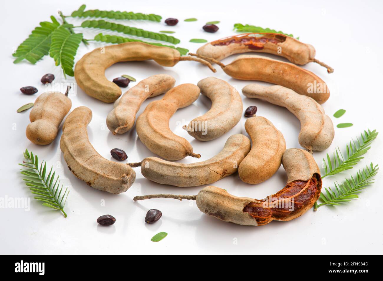 Tamarind bean like pods filled with seeds surrounded by a fibrous pulp ...