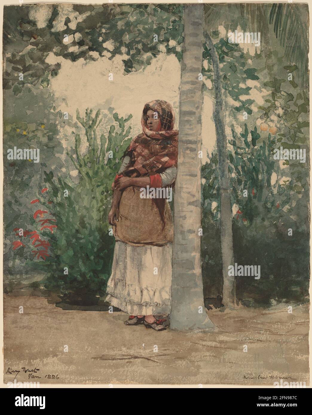 Female standing under palm tree hi-res stock photography and images - Alamy