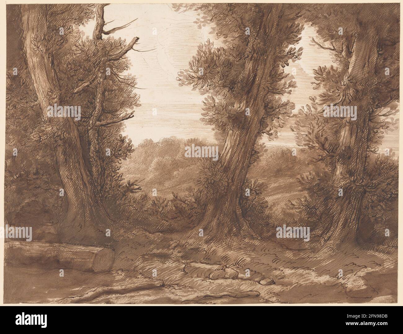 The Big Trees Stock Photo - Alamy