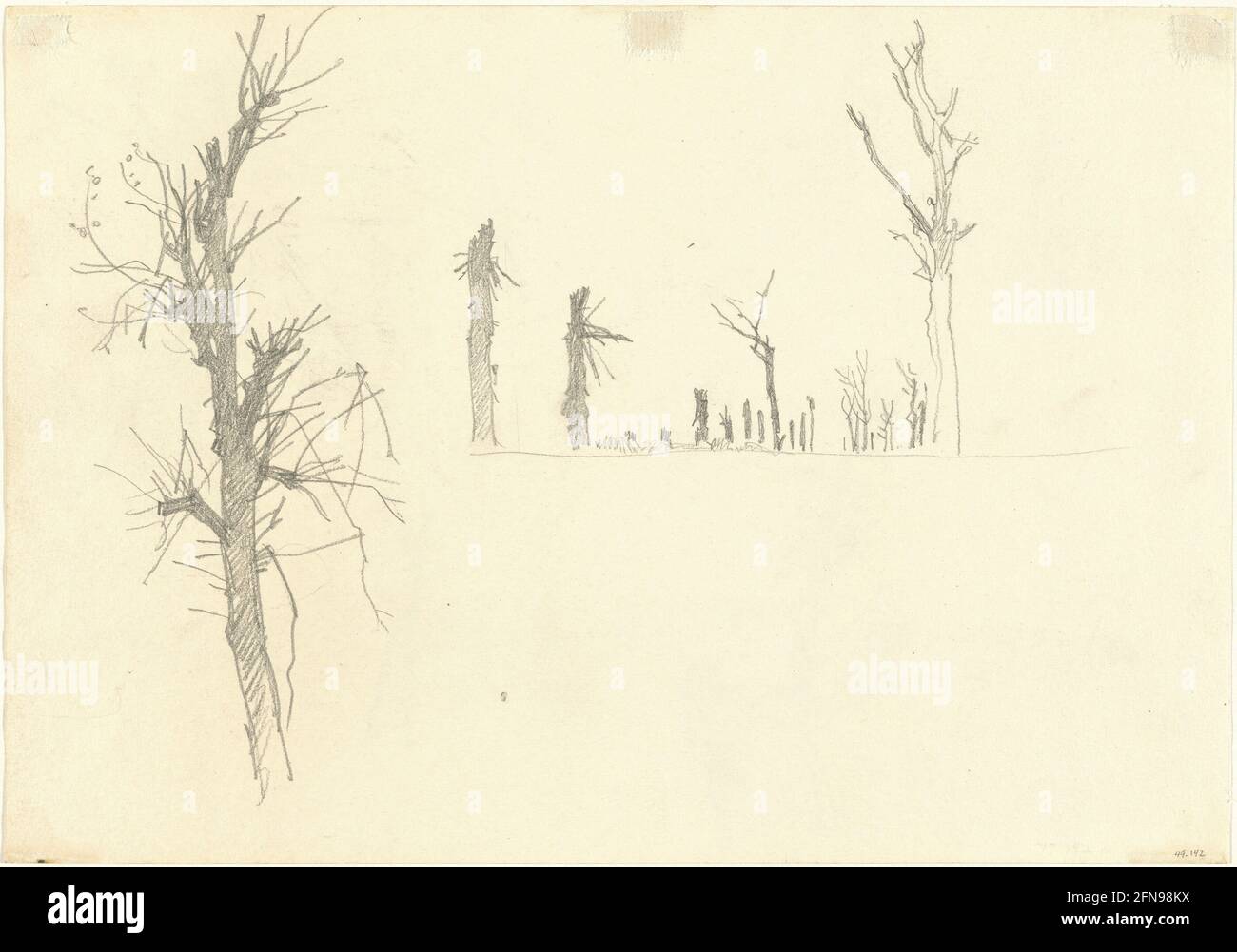 Devastated Trees [verso], 1918 Stock Photo - Alamy