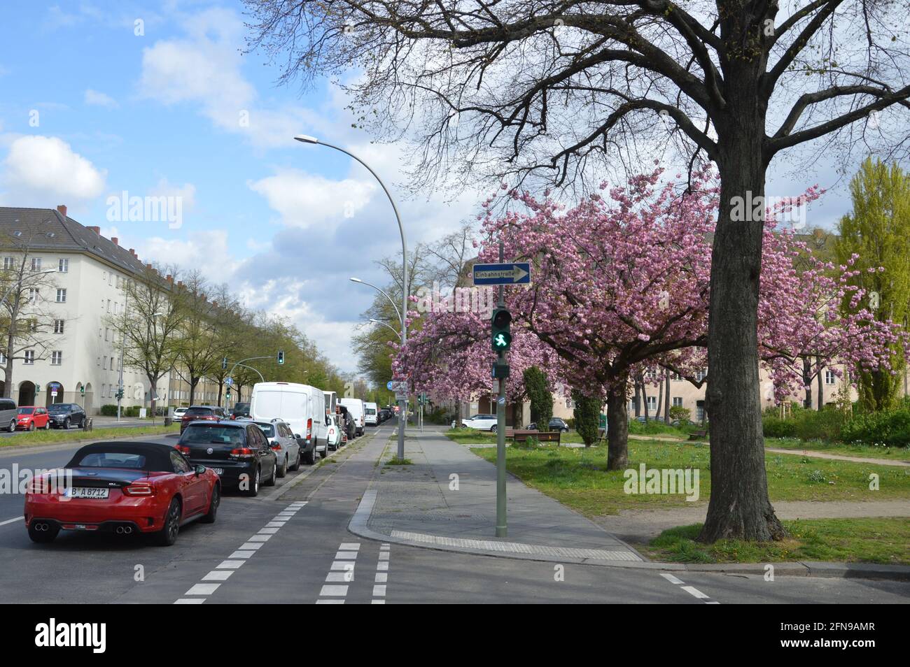 May 2021 - Cherry blossoms at Grazer Platz in Berlin, Germany Stock ...