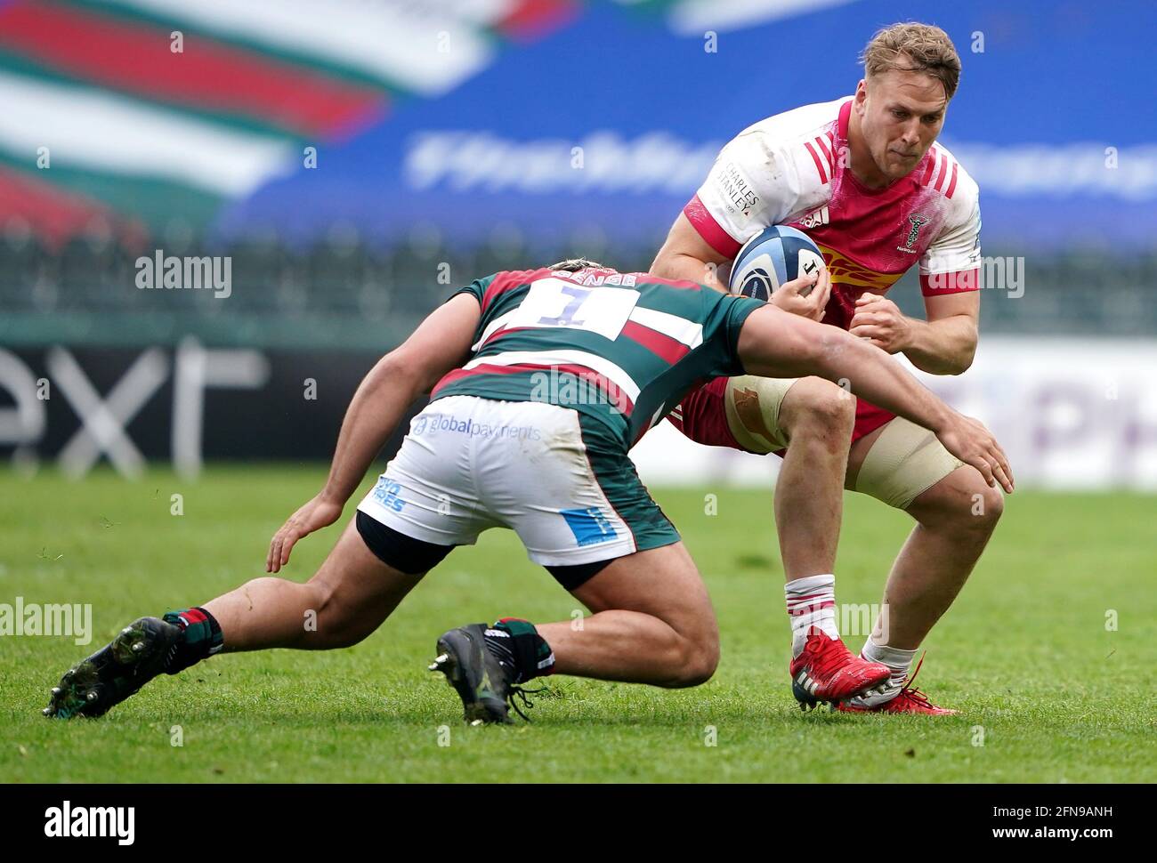 Ellis genge harlequins hi-res stock photography and images - Alamy