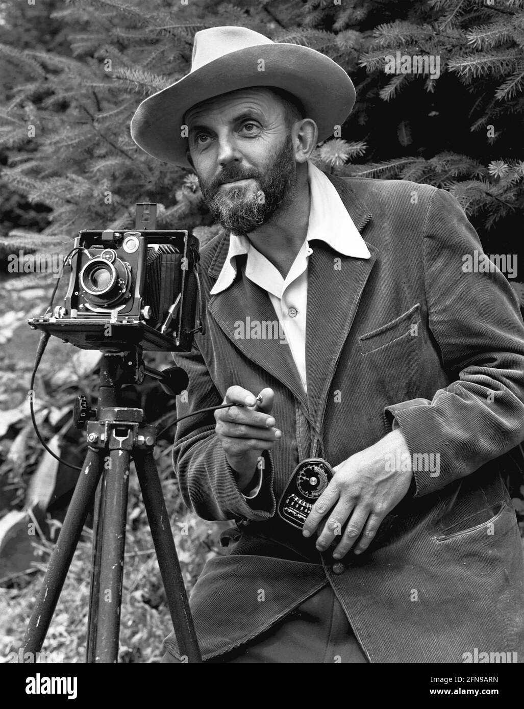 Ansel Adams. Portrait of the American photographer, Ansel Easton Adams ...