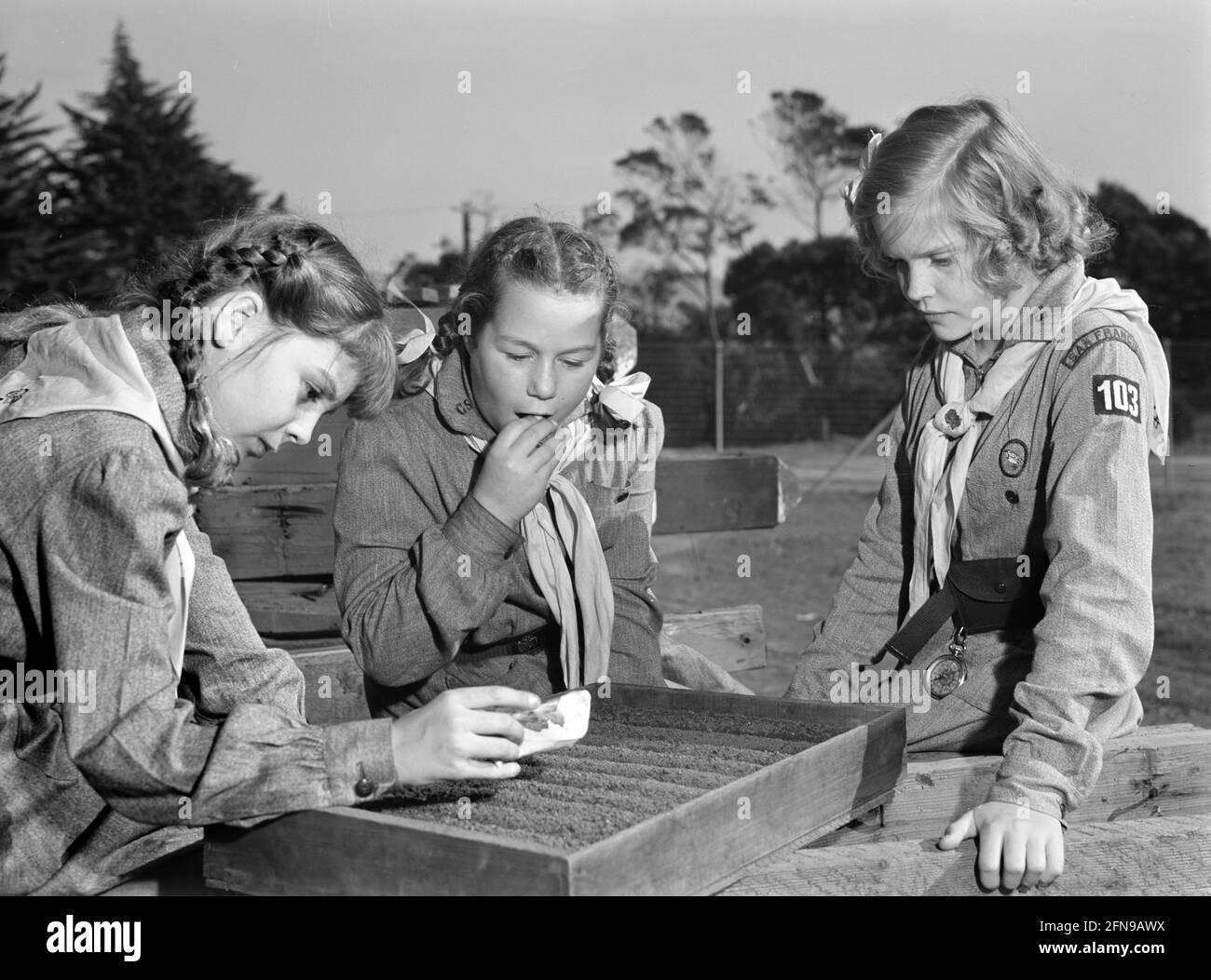 Girl Scouts. Three Girl Scouts "Planting the Victory Garden", San ...