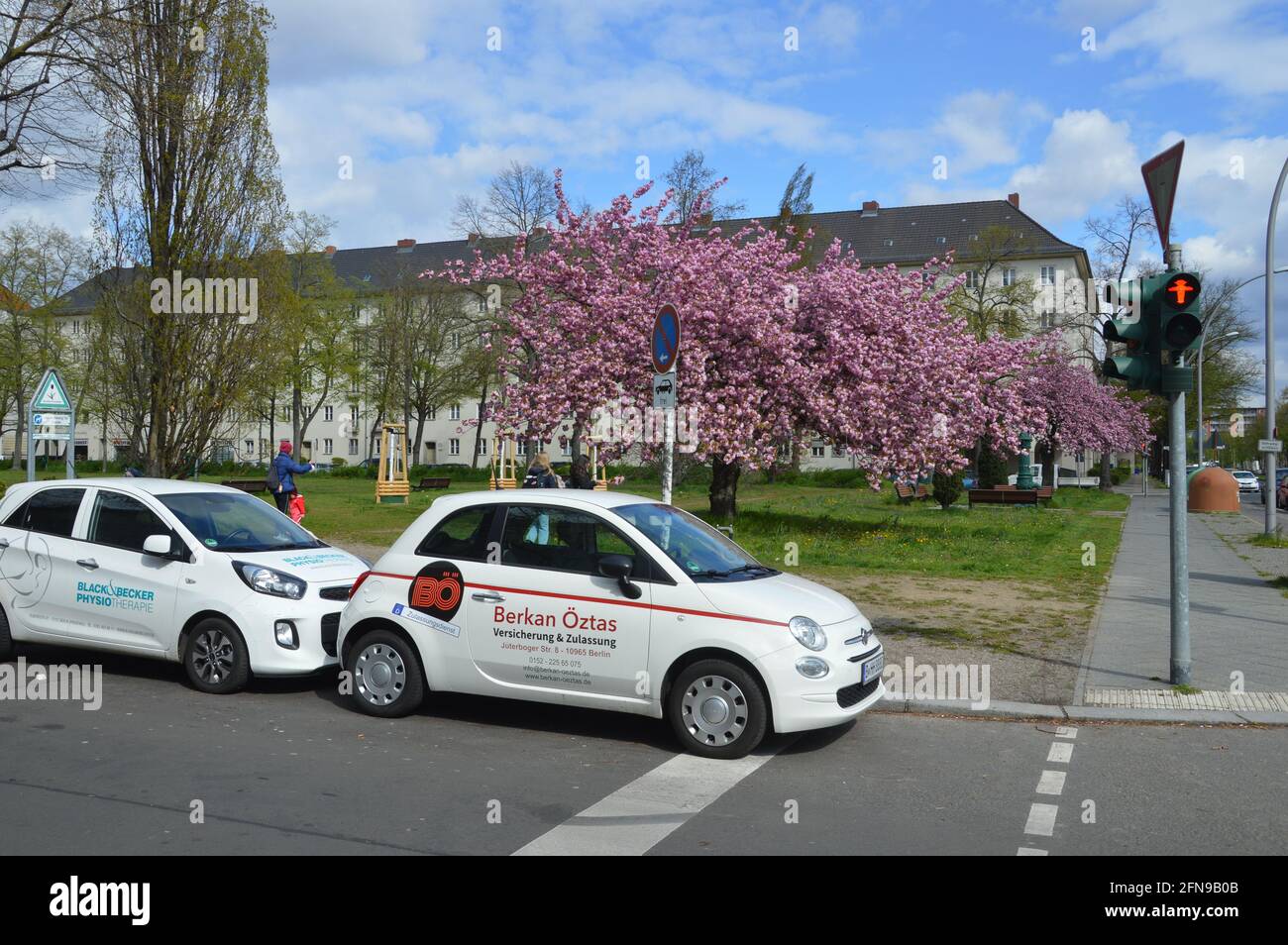 May 2021 - Cherry blossoms at Grazer Platz in Berlin, Germany Stock ...