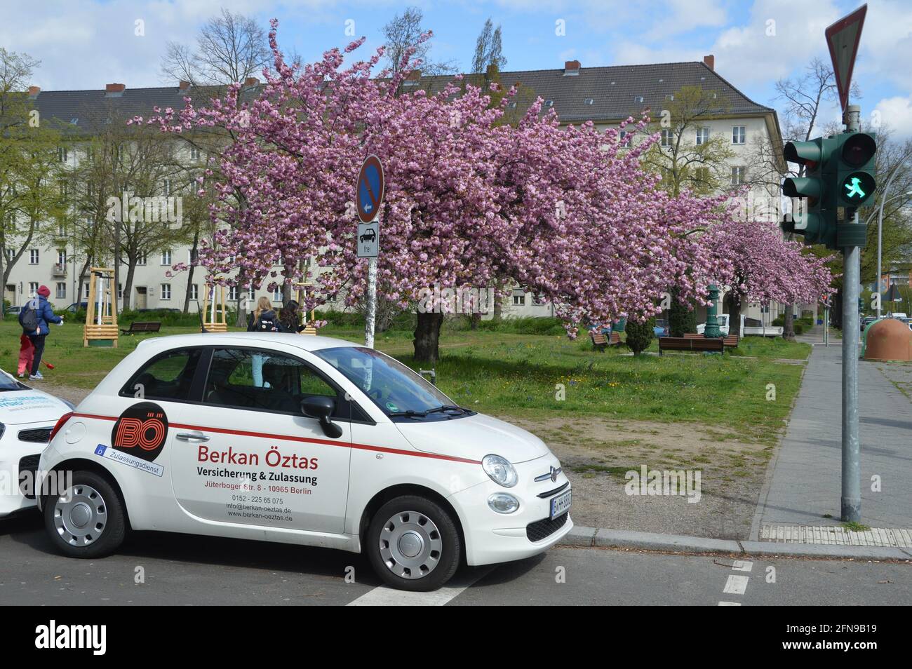 May 2021 - Cherry blossoms at Grazer Platz in Berlin, Germany Stock ...