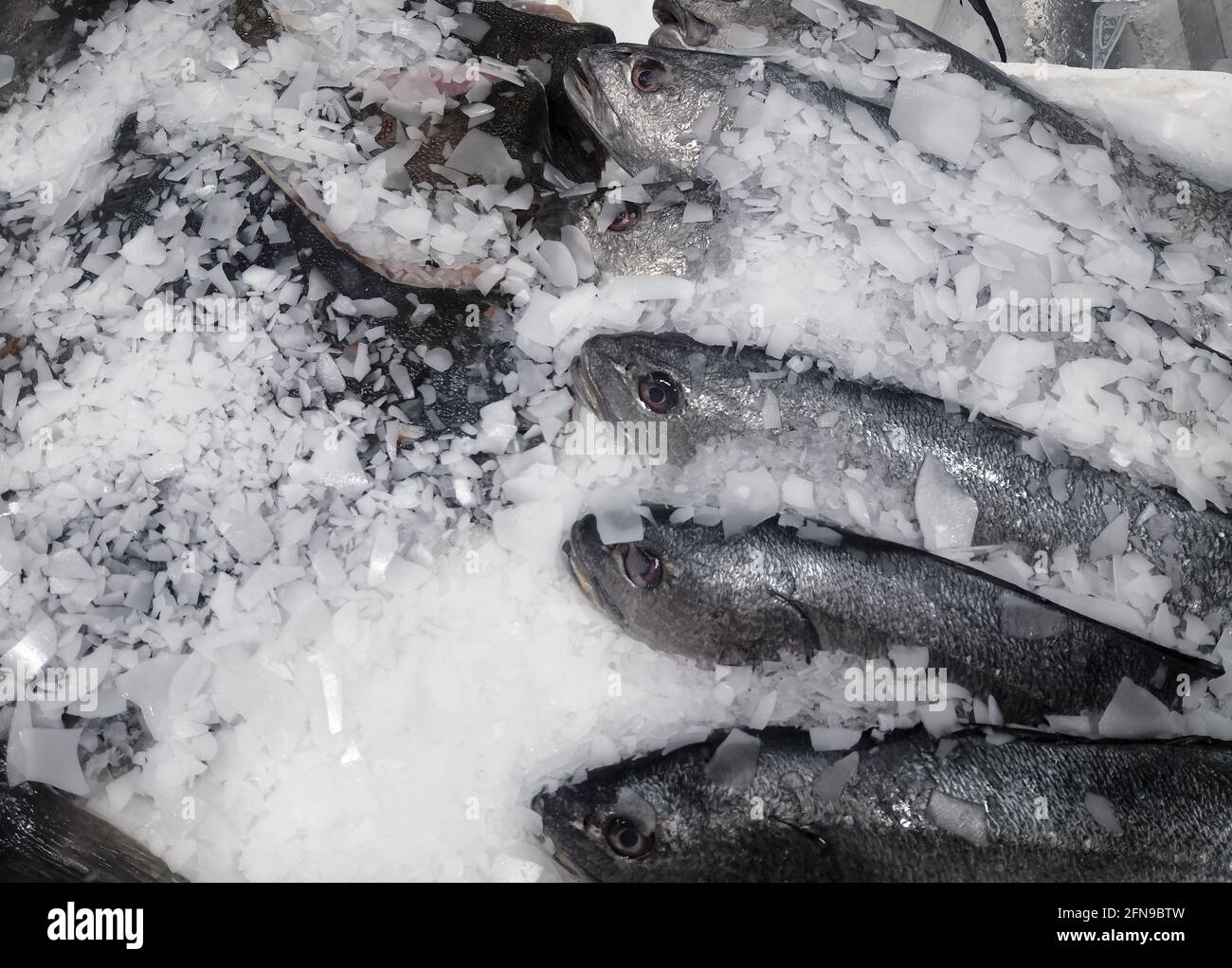 Fresh sea fish on ice background in market close up Stock Photo - Alamy