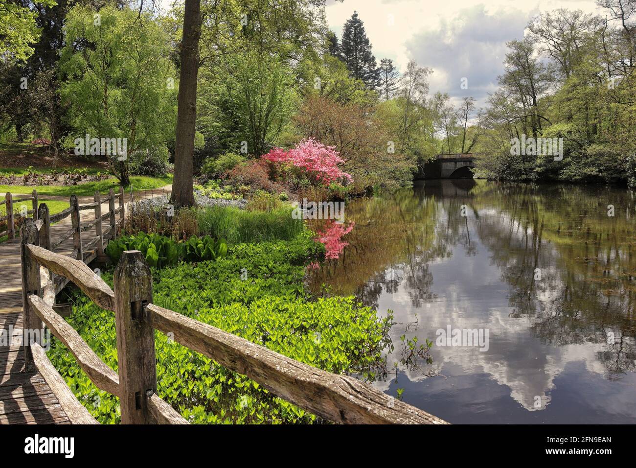 Spring in an English landscape garden with wooden footbridge over a ...