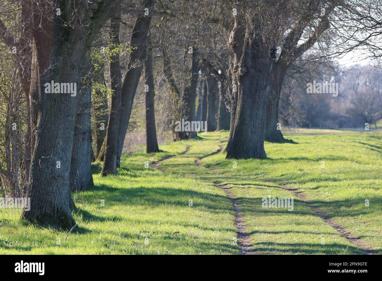 Licht im weg hi-res stock photography and images - Alamy