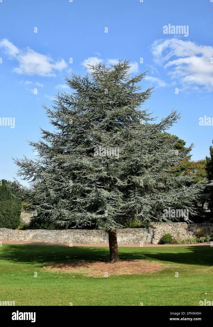 Flint abbey hi-res stock photography and images - Alamy