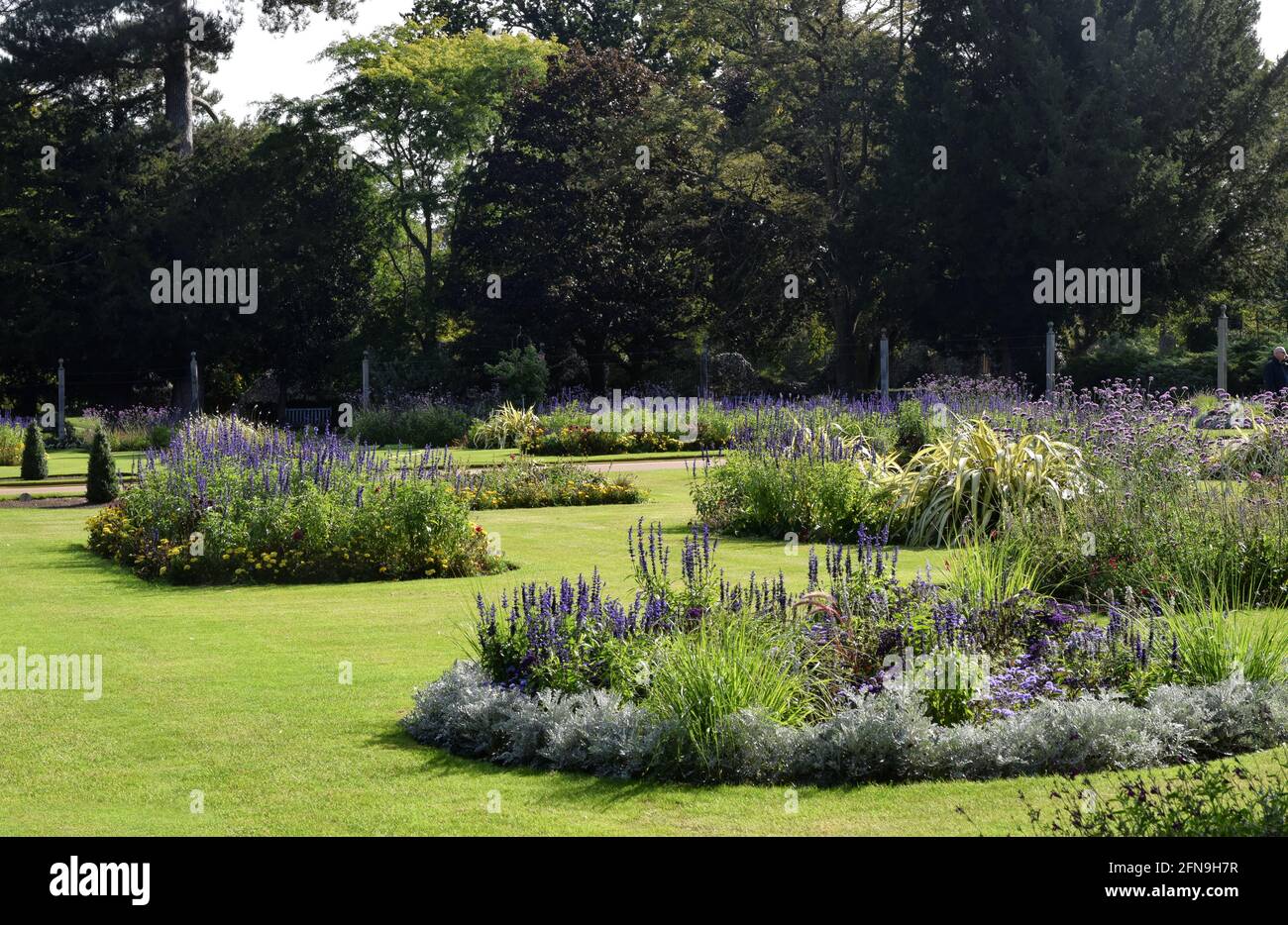 abbey gardens, bury st edmunds, suffolk, england, uk Stock Photo - Alamy