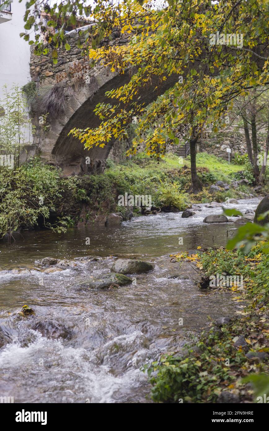 Vertical shot of nature in the medieval city of Hervas, Caceres, Spain ...