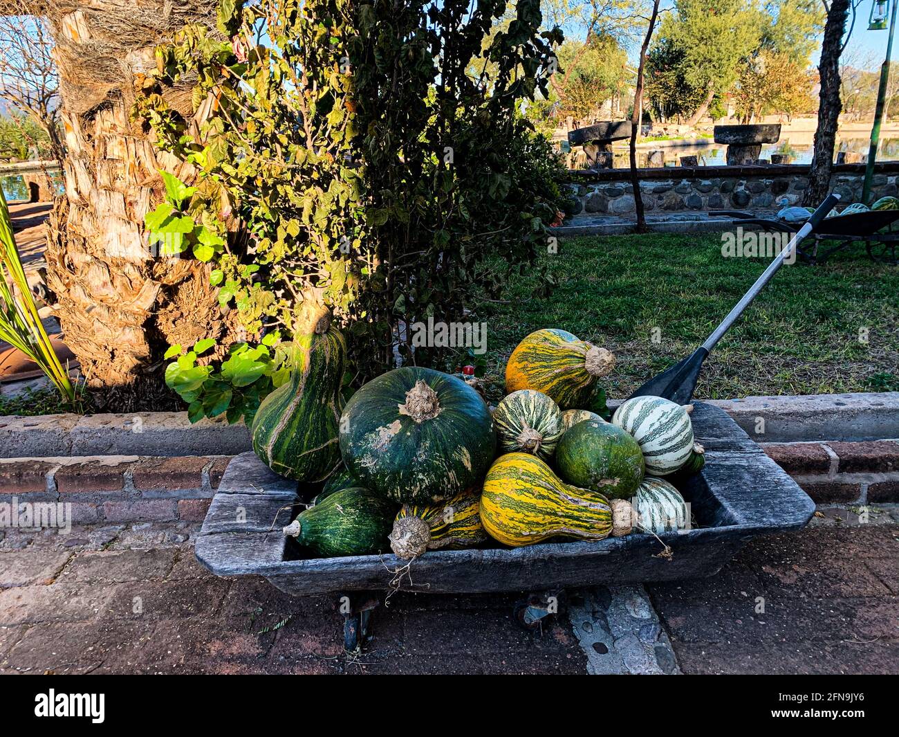 Ures Mpo. Ures, Sonora, Mexico. . (Photo by Luis Gutierrez / Norte ...